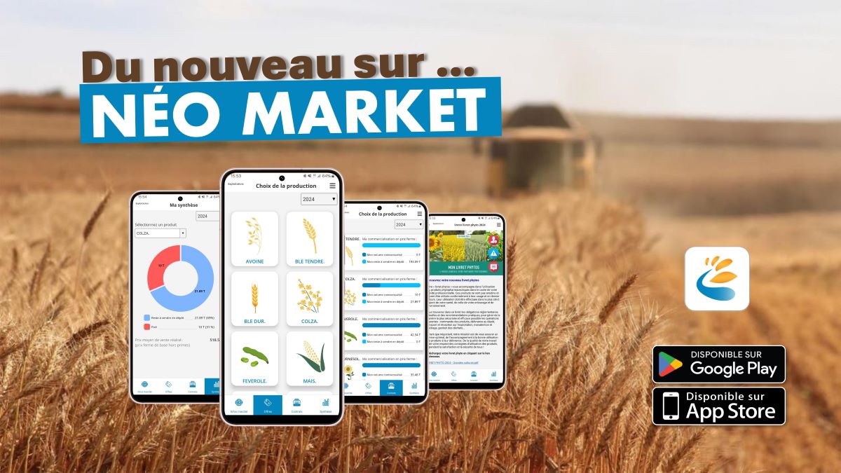 Du nouveau sur Néo Market